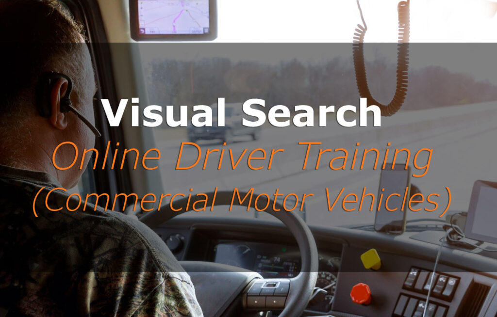 Visual Search: Online Driver Training - CNS Learning Hub